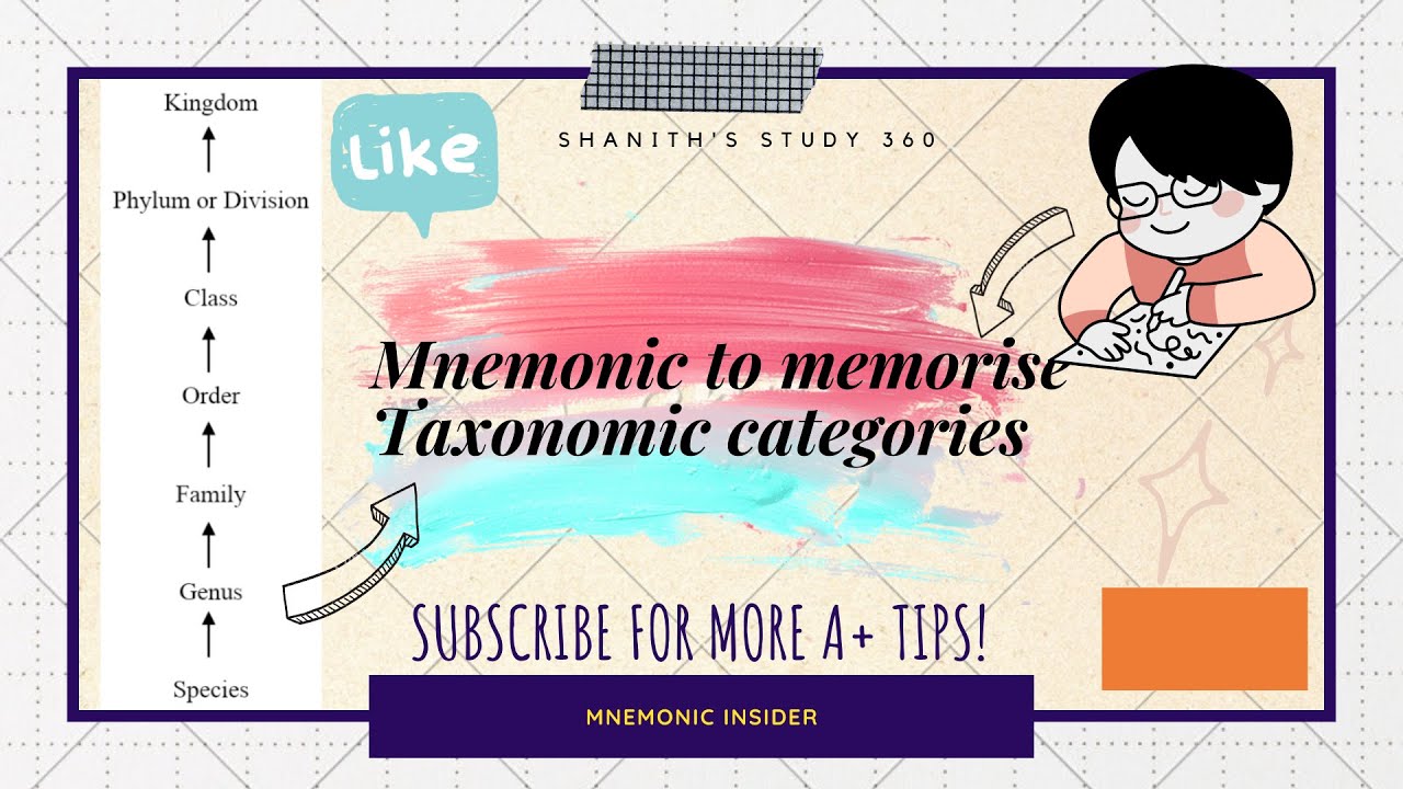 Best mnemonic for memorising Taxonomic categories | class 11 | Biology ...