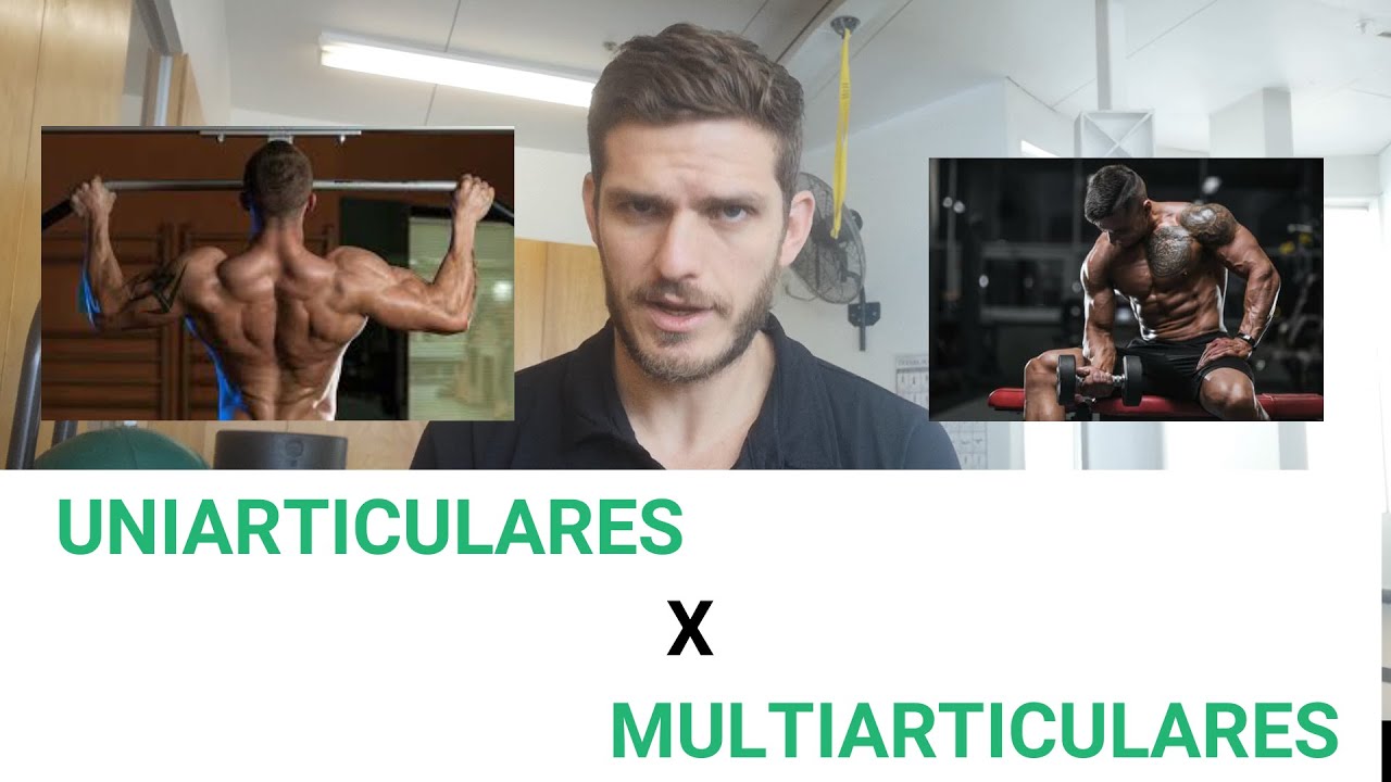 Exercícios UNIARTICULARES x MULTIARTICULARES - Quais as diferenças e ...