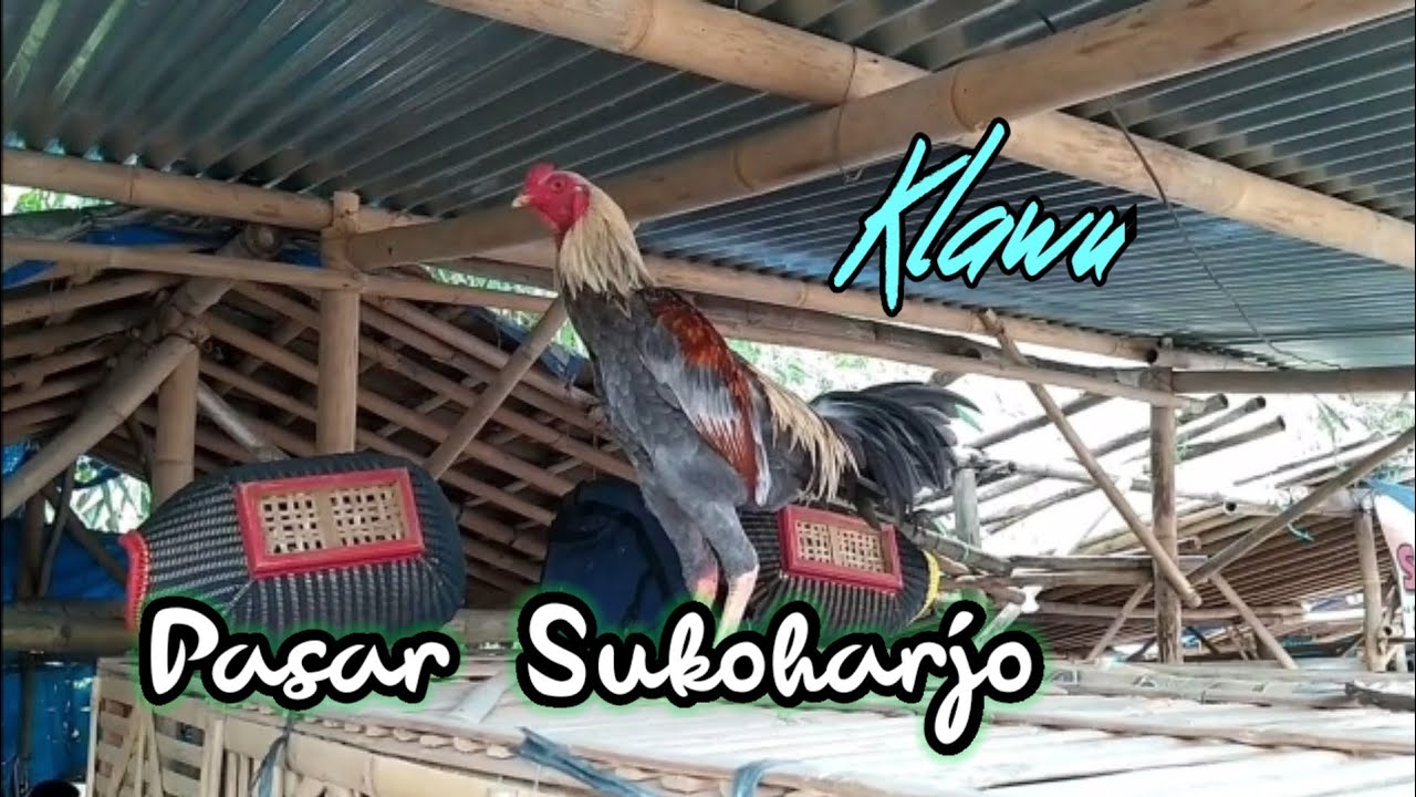 Pasar Tradisional Gawok Sukoharjo Terbaru 2023 - YouTube