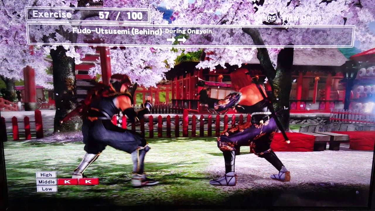 Dead Or Alive 4 With Ryu Hayabusa Training! - YouTube