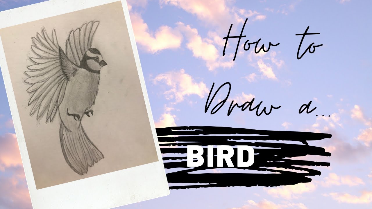 HOW TO DRAW A REALISTIC BIRD || JUST ART! - YouTube