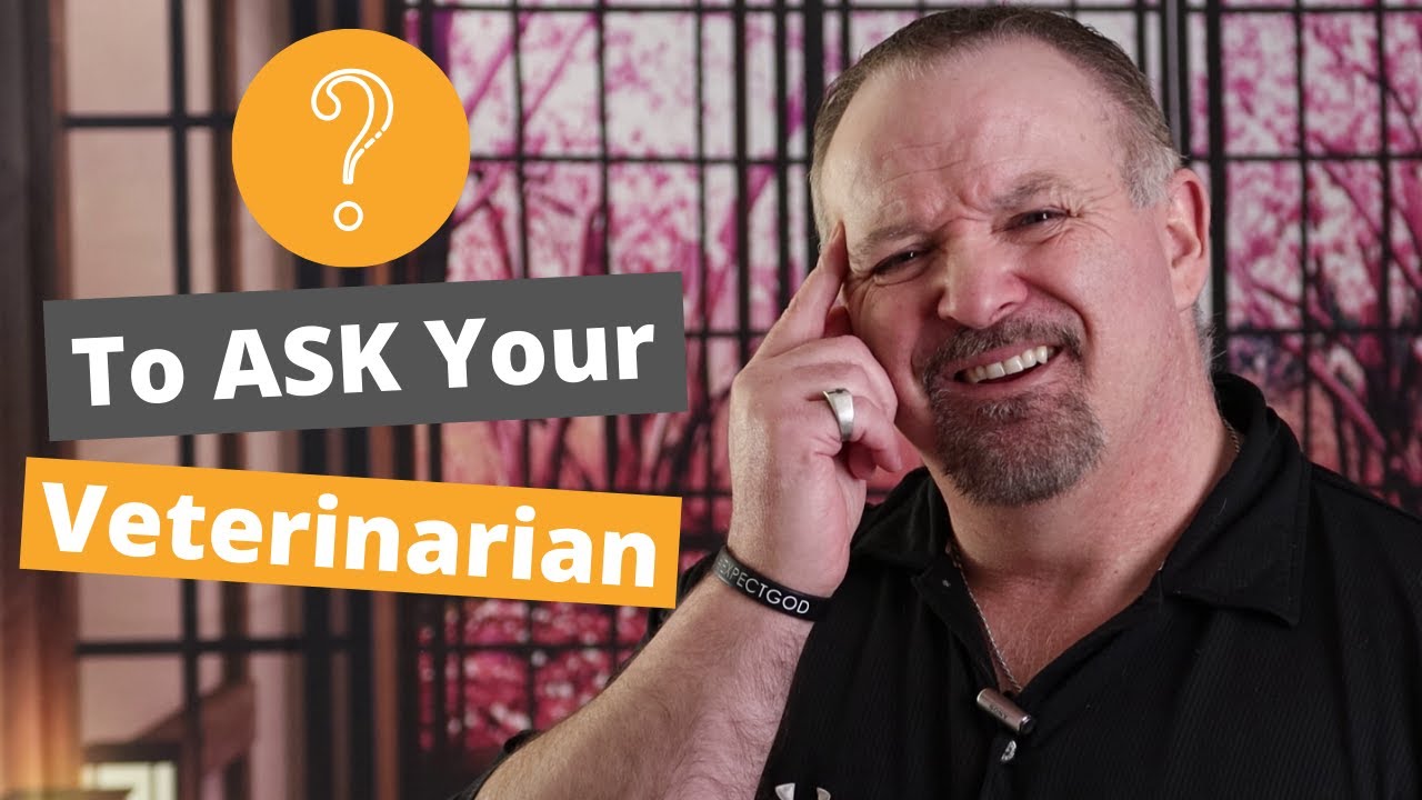 Easy Questions To Ask Your Veterinarian YouTube easy-questions-to-ask-your-veterinarian-youtube