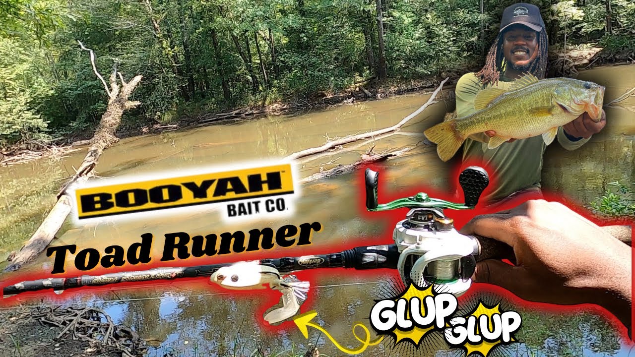 Georgia Backwoods Creek Fishing ft T.J. - YouTube