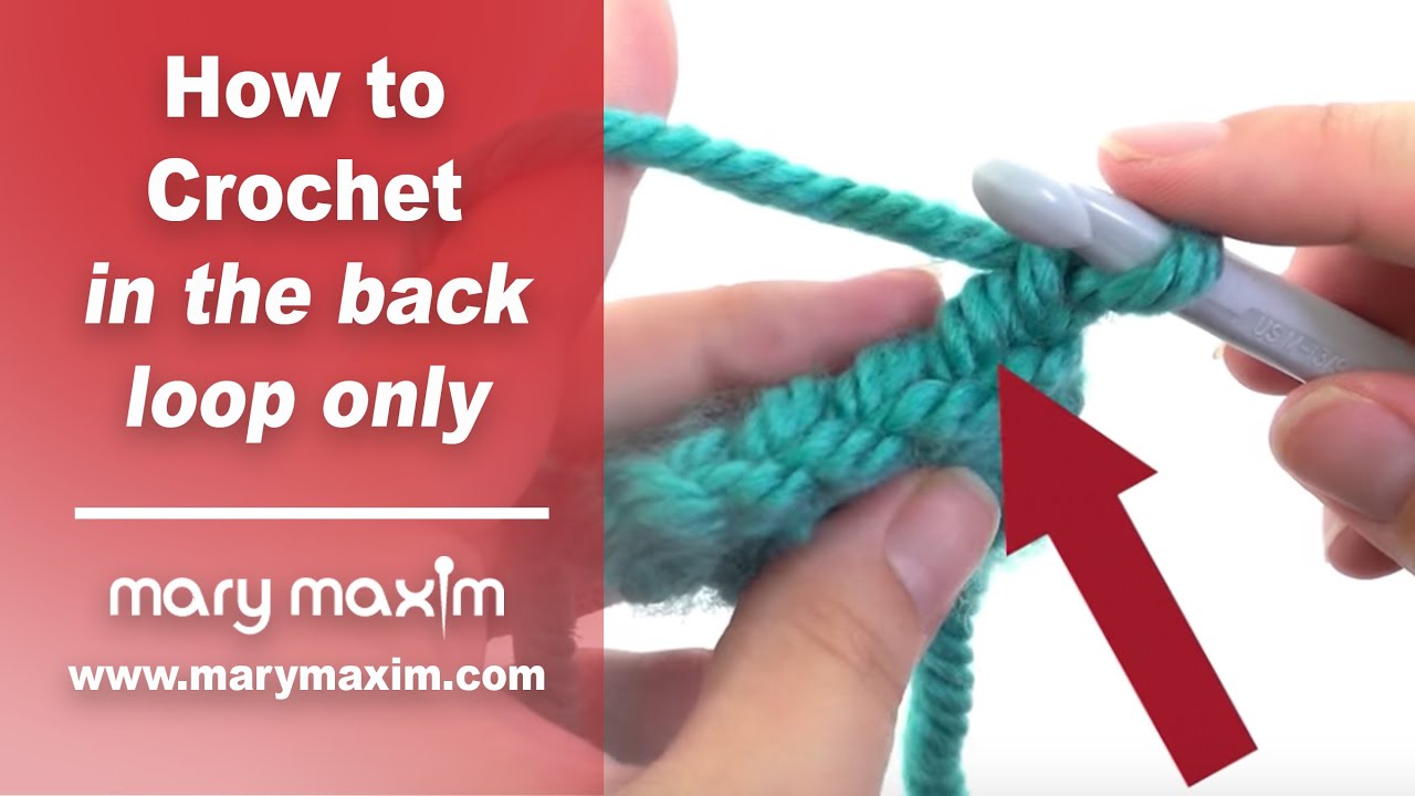 Learn How to Crochet for Beginners: Crochet in the Back Loop Only with ...