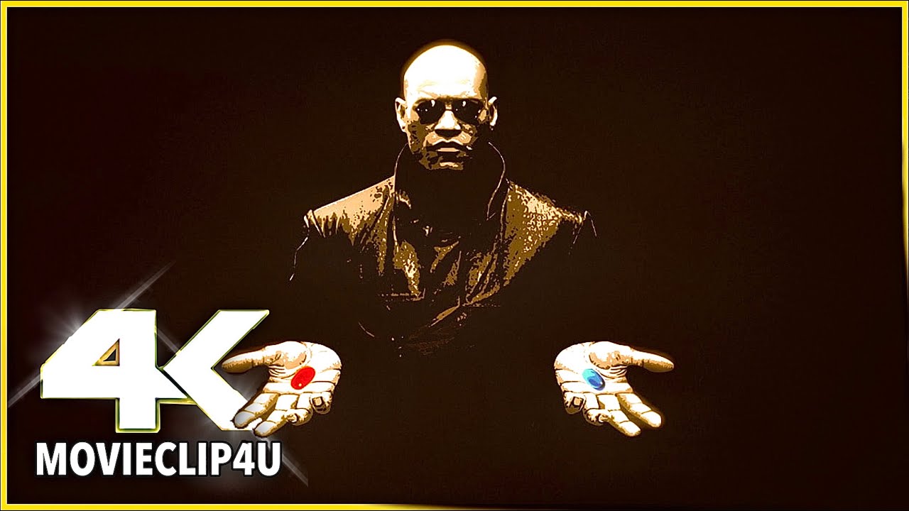 Blue Bill or Red Pill - The Matrix (1999) - MᴏᴠɪᴇCʟɪᴘ4ᴜ - [4K 60FPS ...