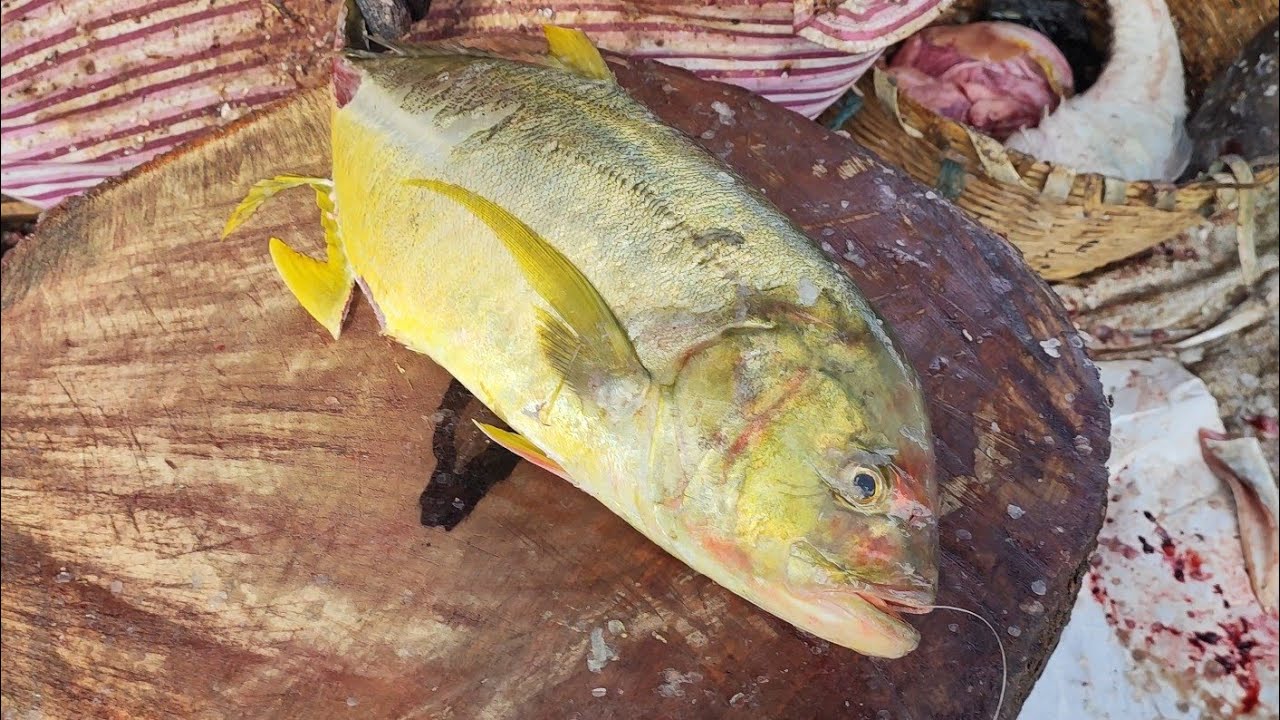 BIG SIZE MANJA PAARAI | AMAZING FISH CUTTING VIDEO | #cskfishcutting # ...