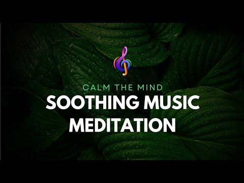 Clam Music l Meditation Music l Divine Guidance l Reiki Healing 🧿#music ...