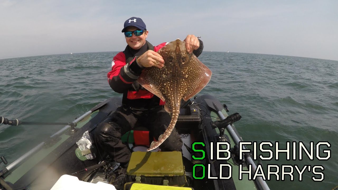 SIB Fishing Old Harry's rocks & Poole 6 SPECIES! - YouTube