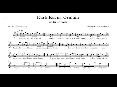Karlı Kayın Ormanı - Zülfü Livaneli - Alto Sax/Flüt/Keman