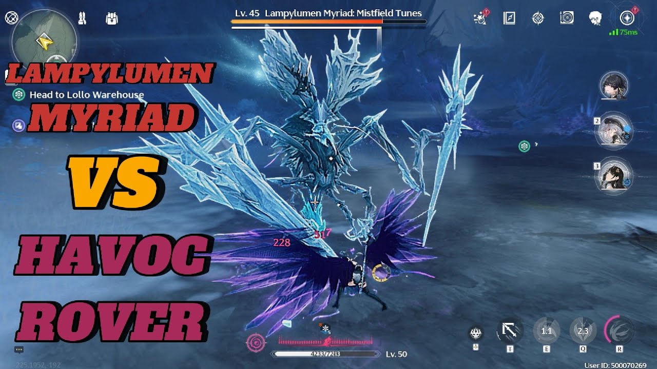 LAMPYLUMEN MYRIAD VS HAVOC ROVER MC - WuWa - YouTube