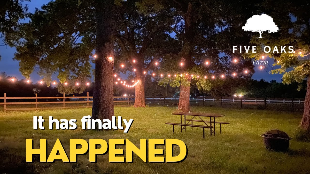 It Has Finally Happened - YouTube