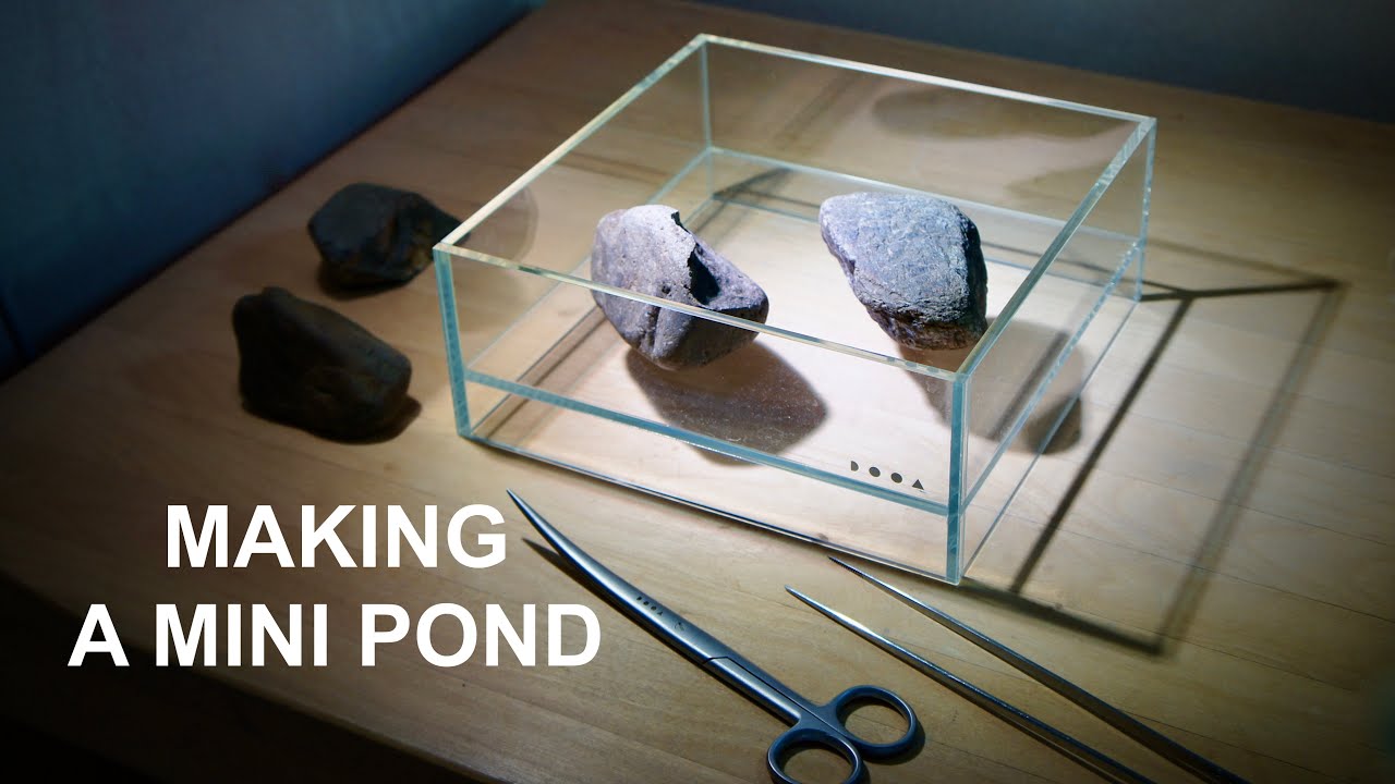 Making a Mini Japanese Style Pond in DOOA Neo Glass Air H8 - YouTube