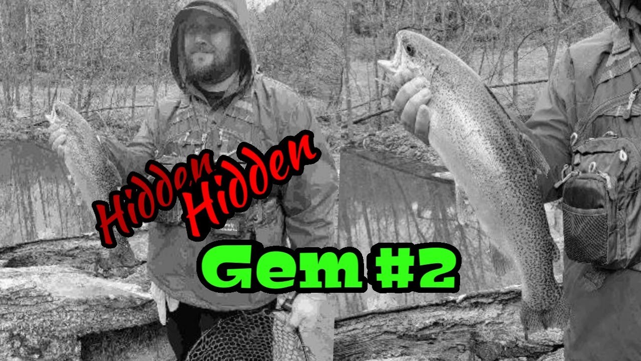 Fishing The Hidden Gem Blue Ridge Va. | Berkley Mice Tails & Gulp ...