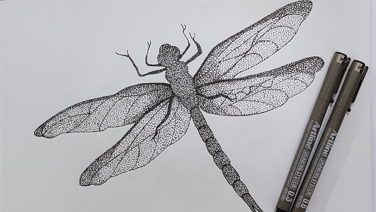 Drawing A Dragonfly Stippling With Pen And Ink, 48% OFF
