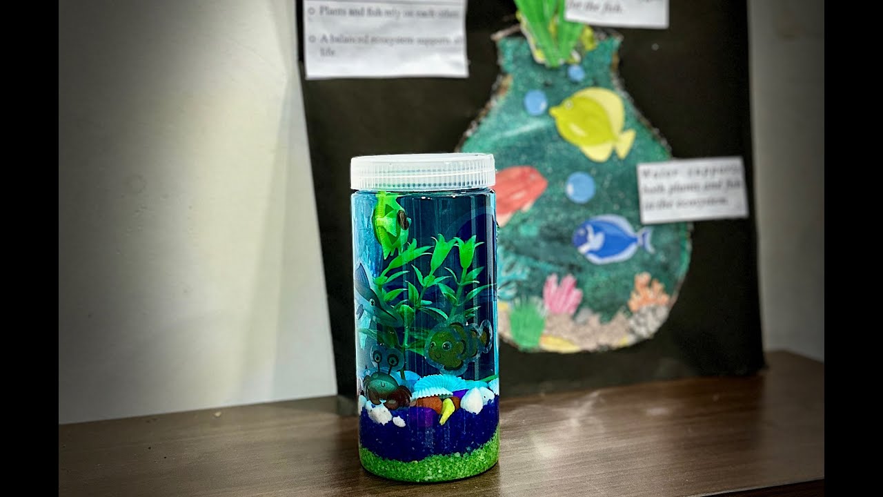DIY Sensory Jar: Easy Underwater Ecosystem in a Bottle | Ecosystem ...