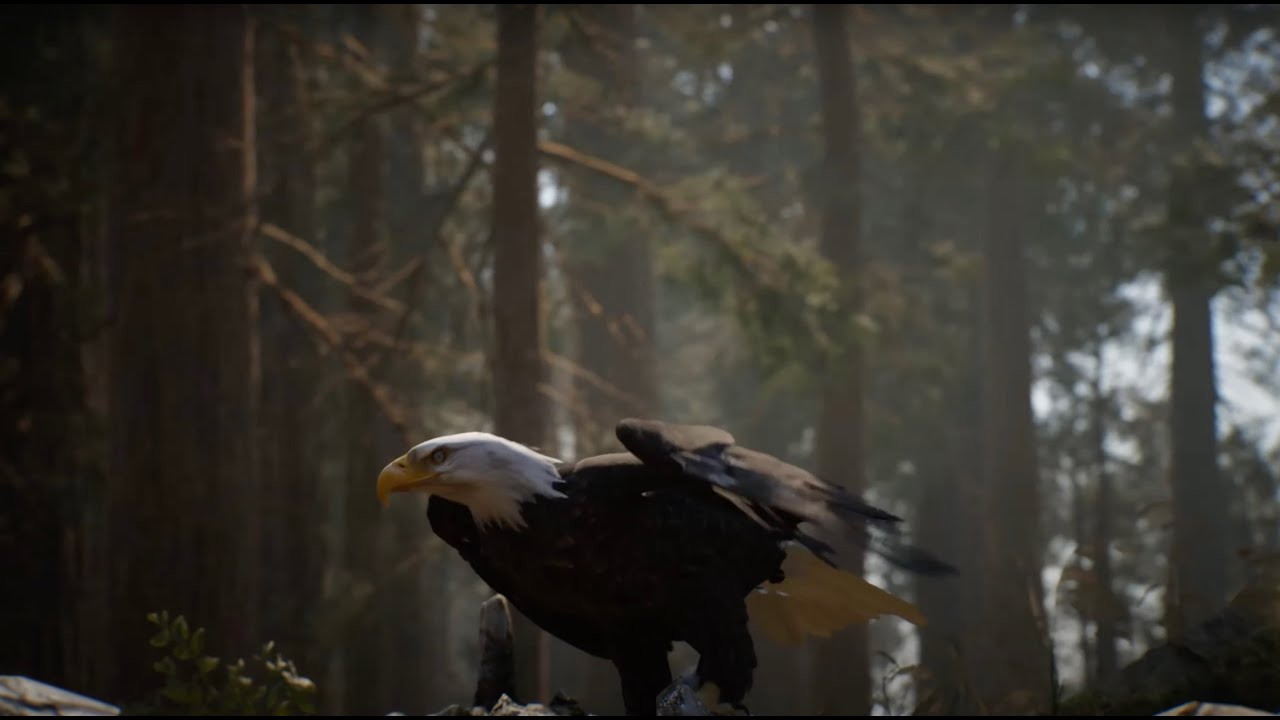 The Legacy Official Presentation Video - YouTube