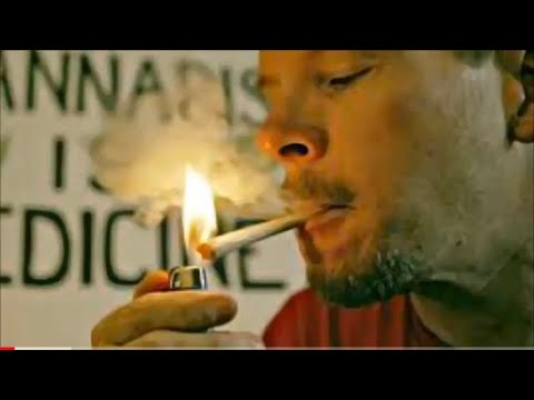 Joan Elite Ft T3R Elemento - Cookies En Las Pipas (Corridos 2019) - YouTube