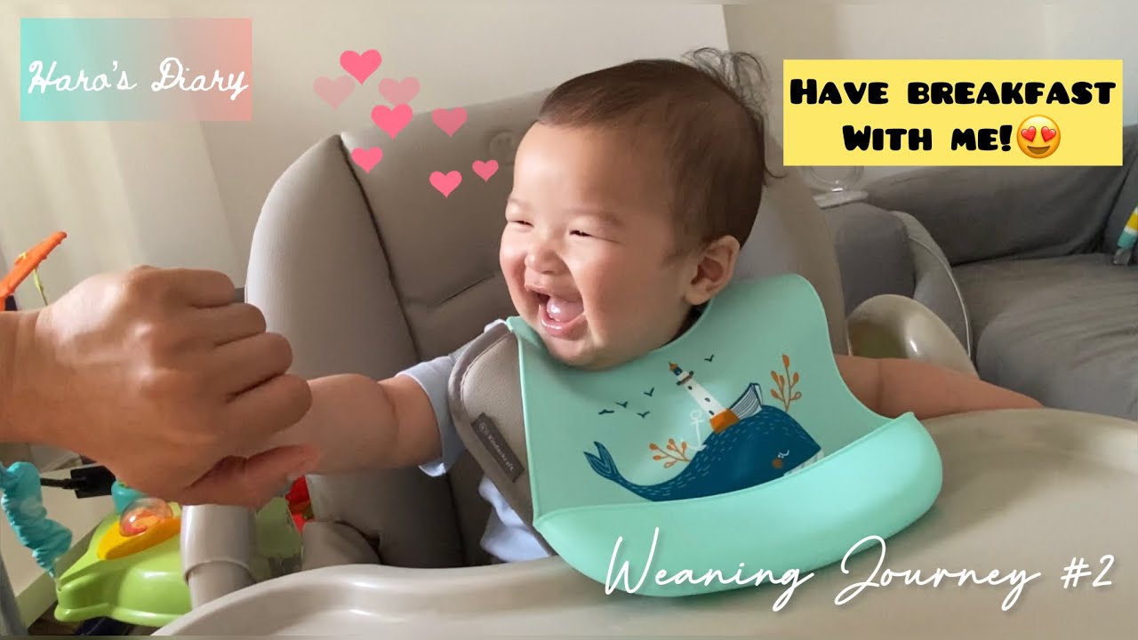 ️ KOREAN-FILIPINO BABY WEANING JOURNEY 🇰🇷🇵🇭 | Haro’s Diary #8 - Have ...