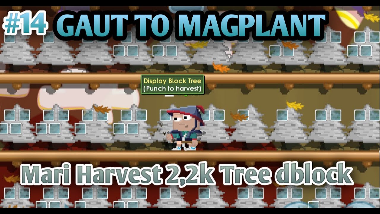 Live Growtopia Indonesia GAUT To Magplant | Harvest Display Block - YouTube