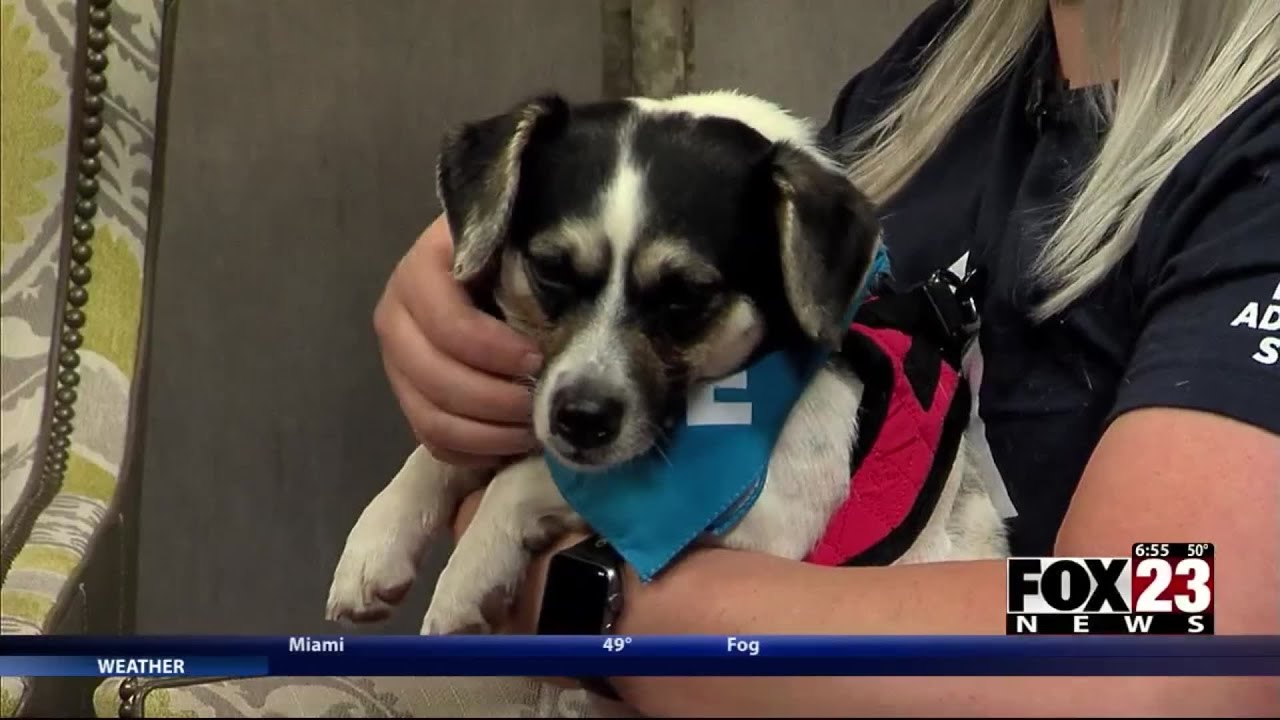 Adopt a Survivor: Meet Jed - YouTube