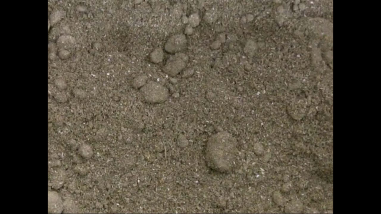 Flow Watchers 153 - Measuring the flow of Ground Hemp - YouTube