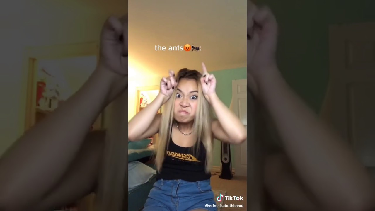 Where the tik tok the ants😡🐜 meme came from - YouTube