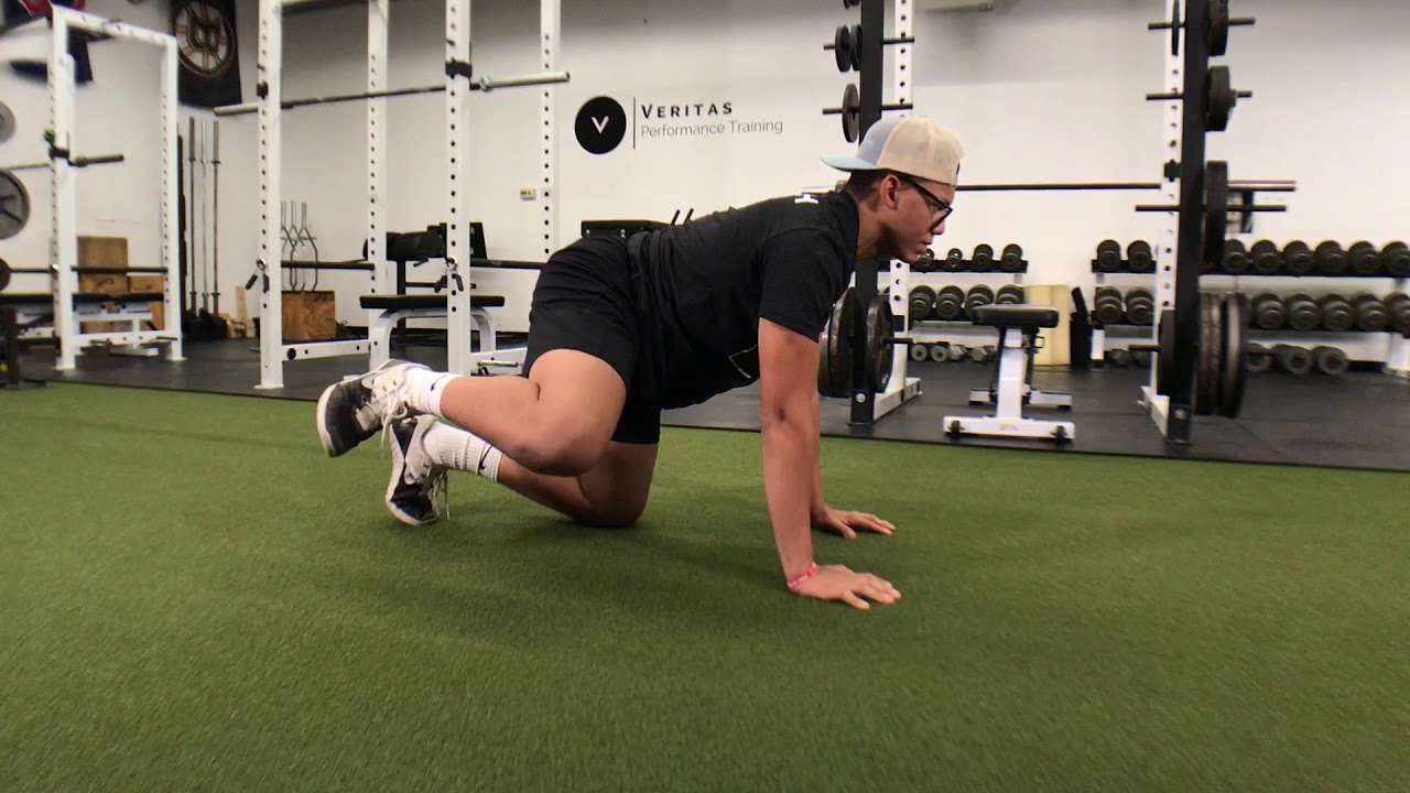 Quadruped clamshell - YouTube