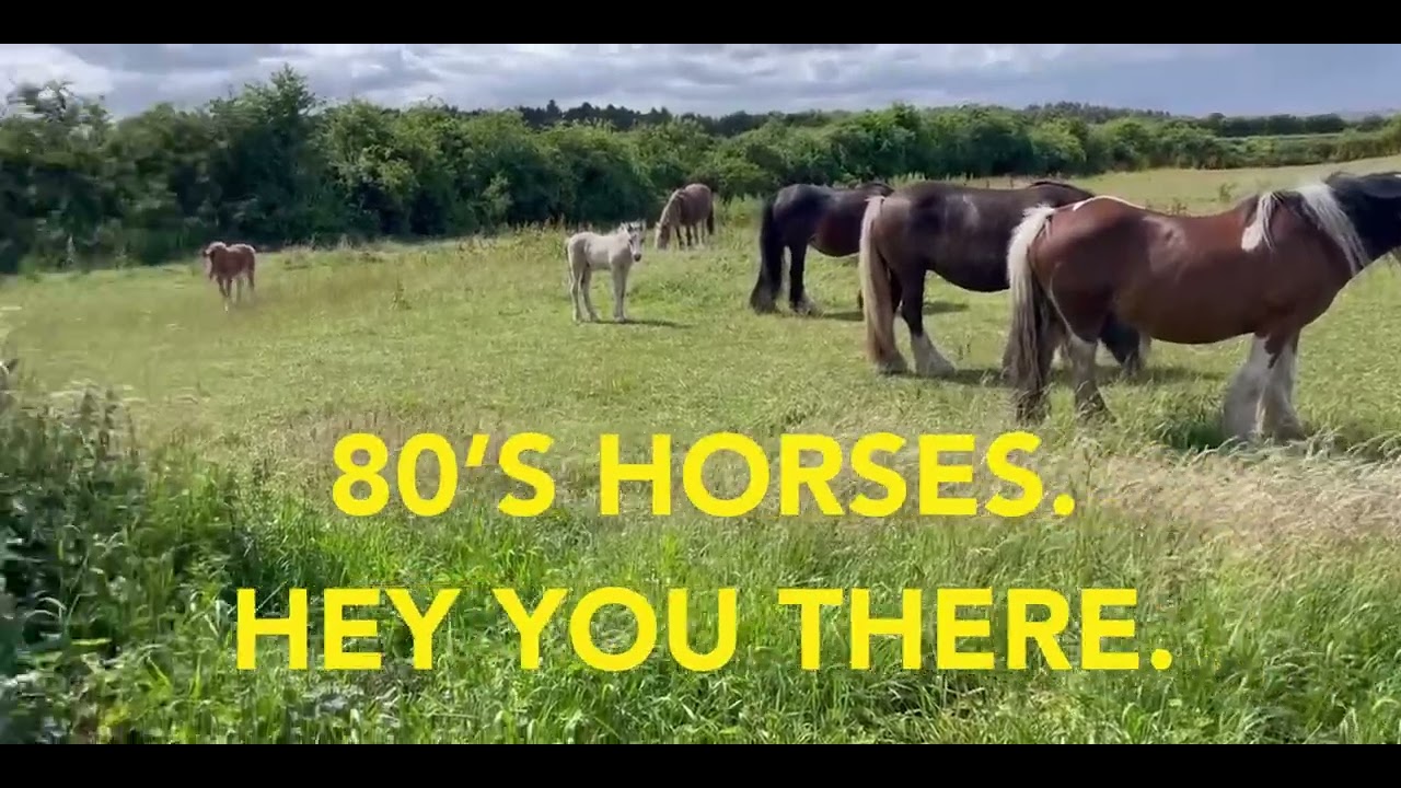 YOU WANNA PLAY HORSEY……? - YouTube