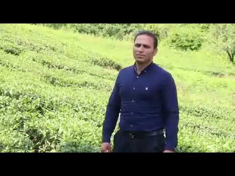 Varna band - Yar   (Talysh Music/Talış mahnısı/Tolışə nəğmə)