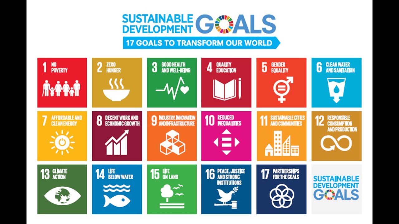 SDGsへの取り組み - YouTube