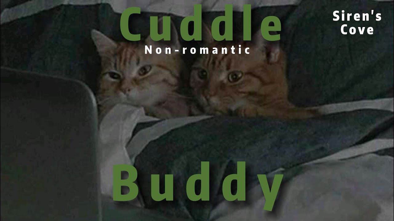 『Cuddle Buddy ˖*°࿐𐀔 [Butterfly Formula] - YouTube
