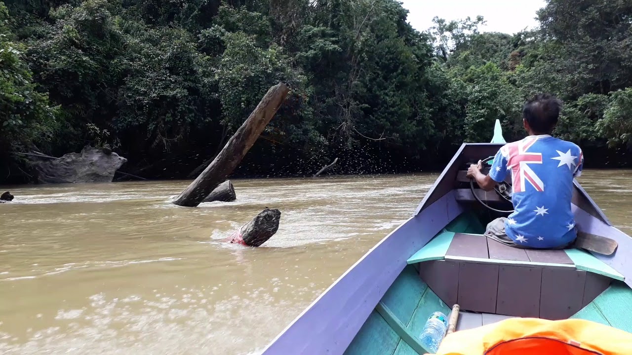 Tes drive Perahu Ces 16Pk Daihoo kecepatan maksimal 35km/jam. - YouTube
