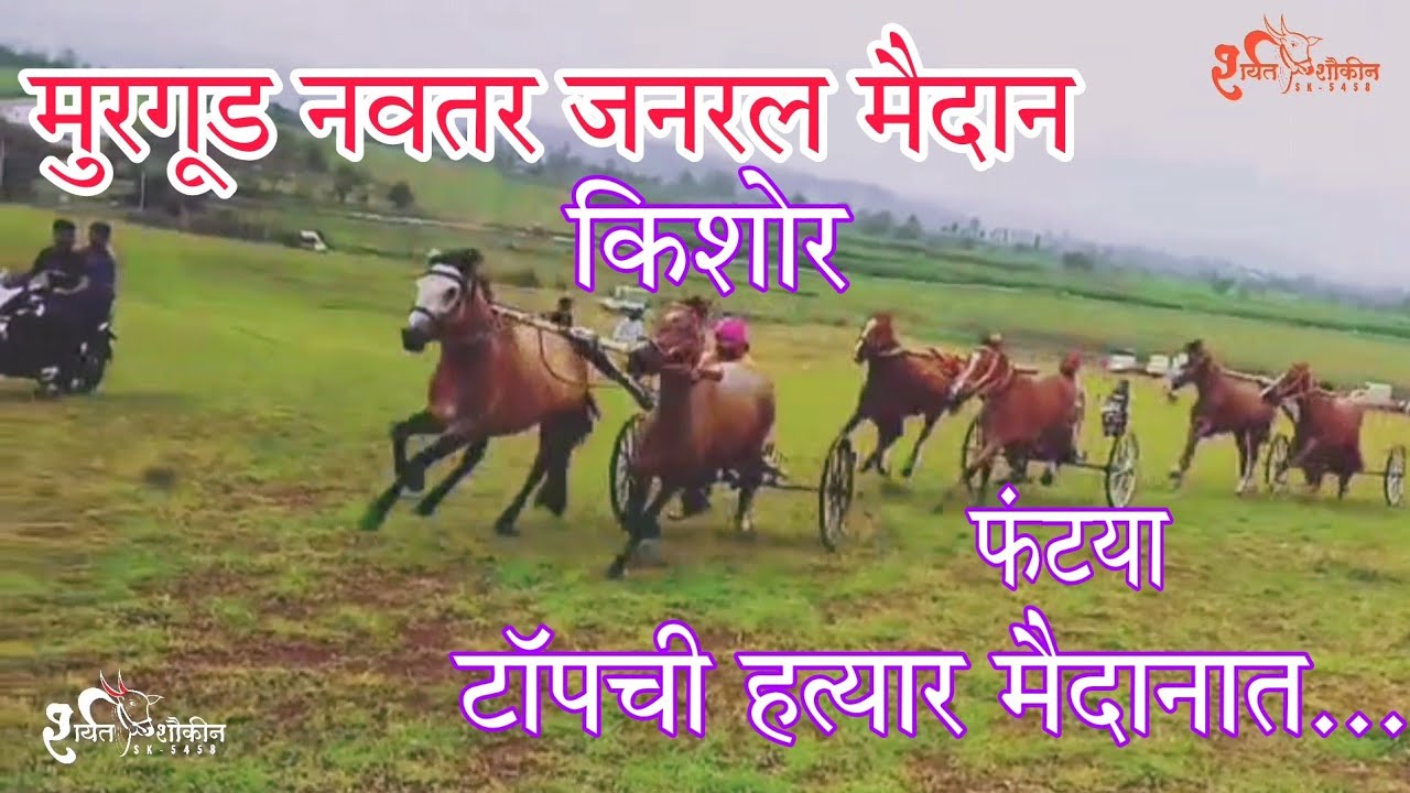 💥मुरगूड माळ घोडागाडी शर्यत💥🥇वसगडे जर्द & वाळवा खुळी murgud mal ...