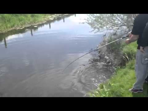 10 pound pike - YouTube