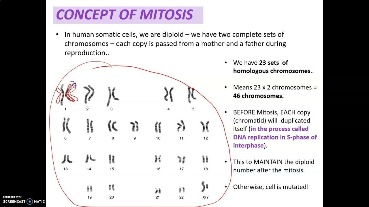 LECTURE CHAPTER 3 PART 6 - YouTube