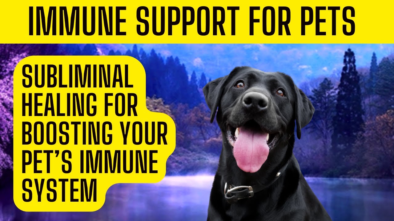 Subconscious Immune System Support for Dogs, Cats & Pets - YouTube