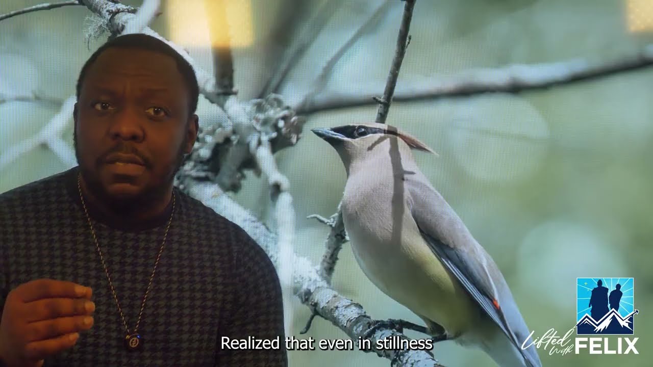 Lifted With Felix - "The Bird" - YouTube