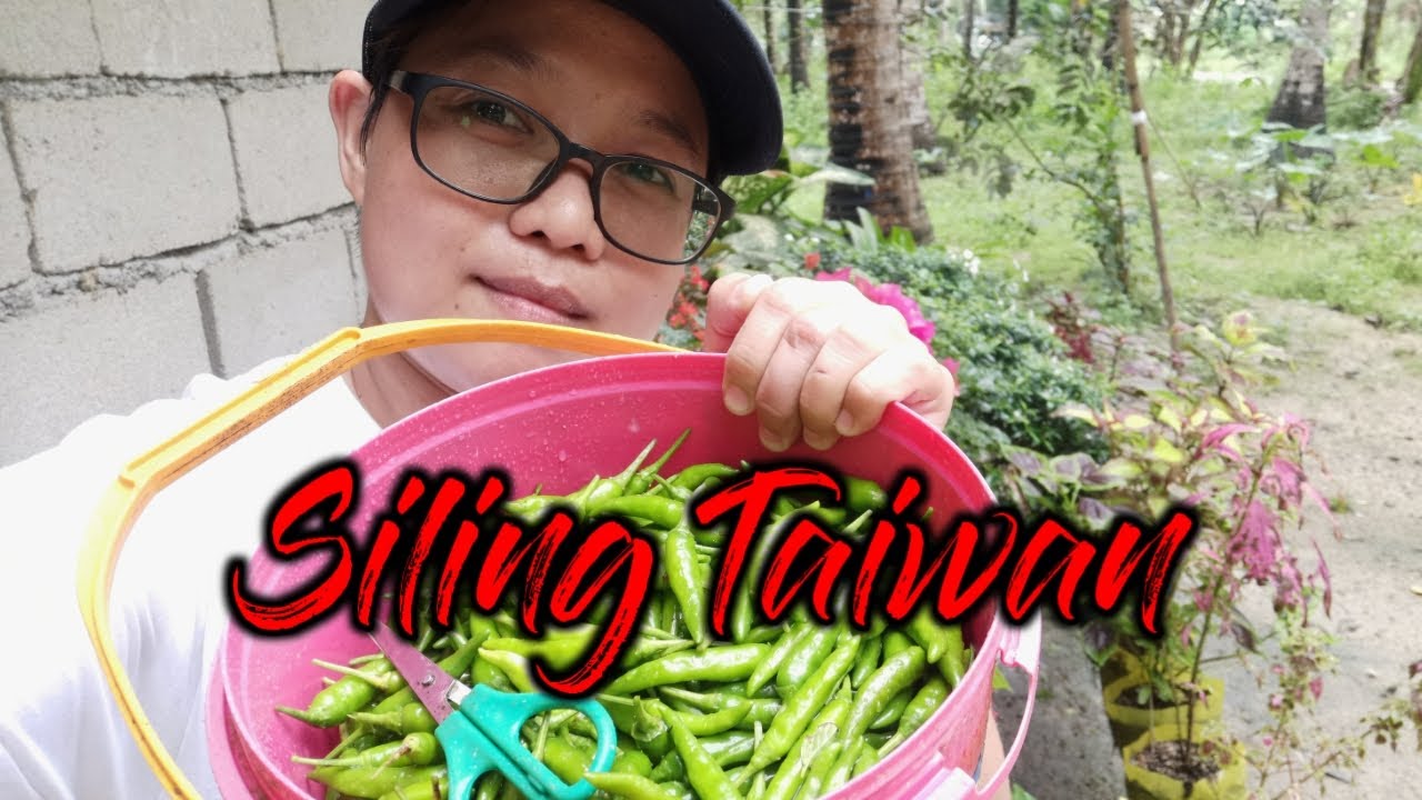 SILING TAIWAN || KEN VLOGVENTURES - YouTube