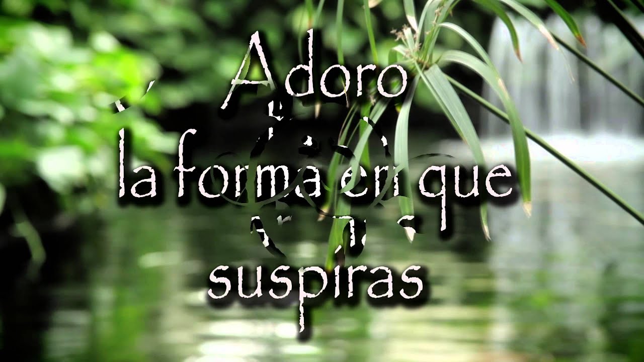 Adoro - Armando Manzanero y Alejandro Sanz (Letra) - YouTube