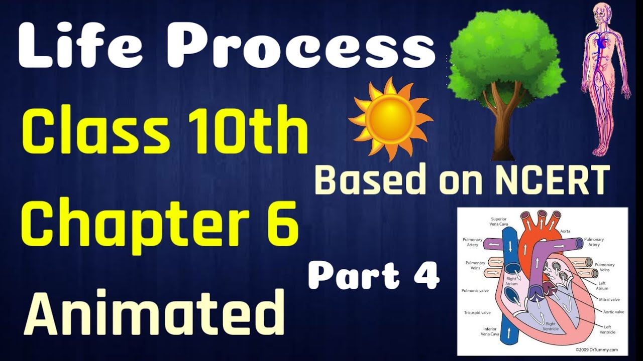 Life Process Class 10 Science Biology Animated Video Science Class life-process-class-10-science-biology-animated-video-science-class