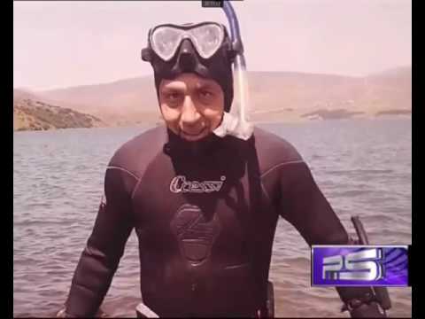 Ramazi mchedlishvili P.S.