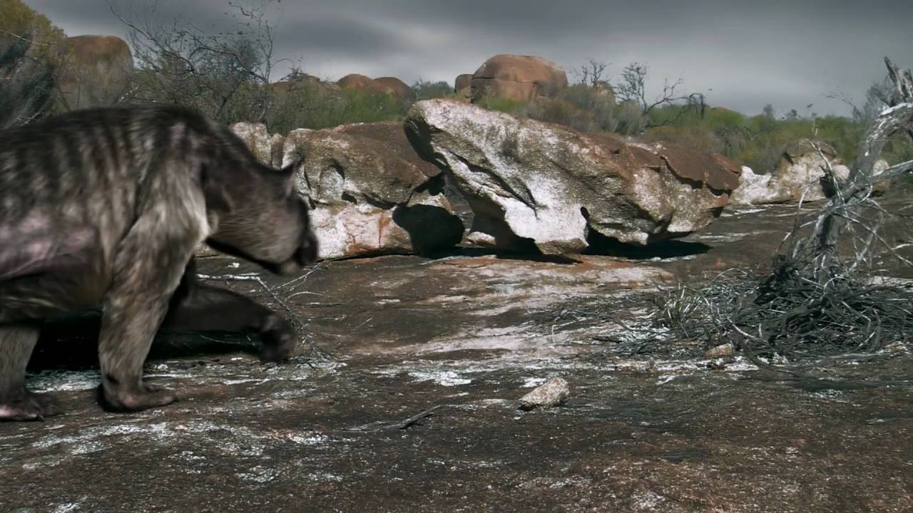 CREATURE REEL - Hive Studios - YouTube