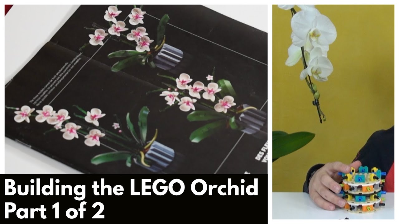 How to Build the LEGO Orchid - Part 1 of 2 - YouTube