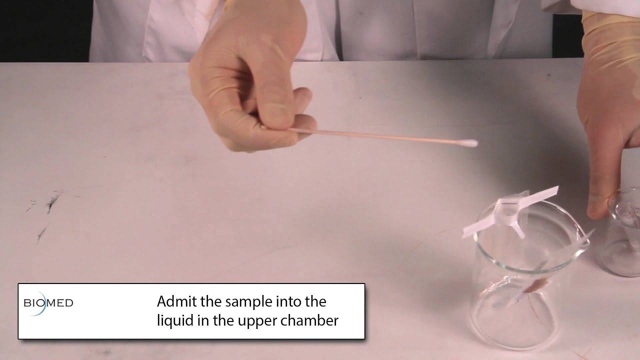 How to Use: InPouch™ - YouTube