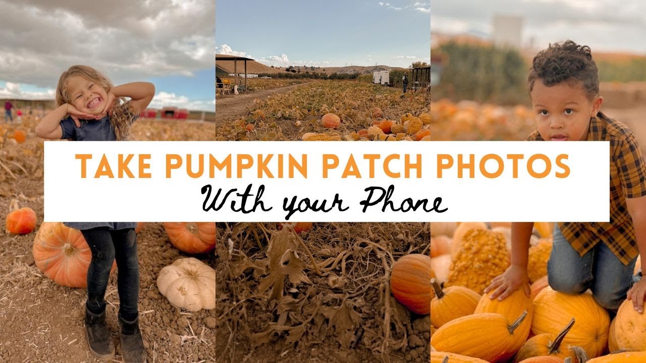 How To Take Pumpkin Patch Photos With Your Phone - YouTube