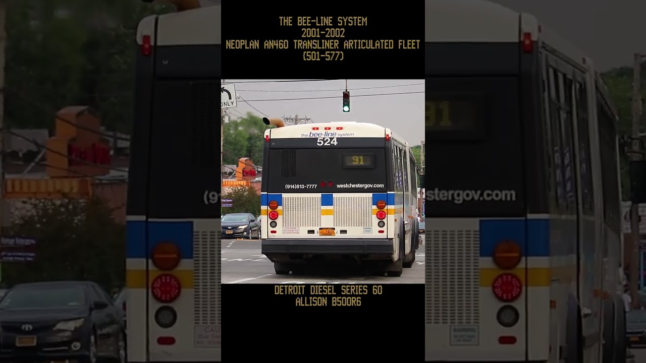 The Bee-Line System 2001-2002 Neoplan AN460 Transliner Articulated ...