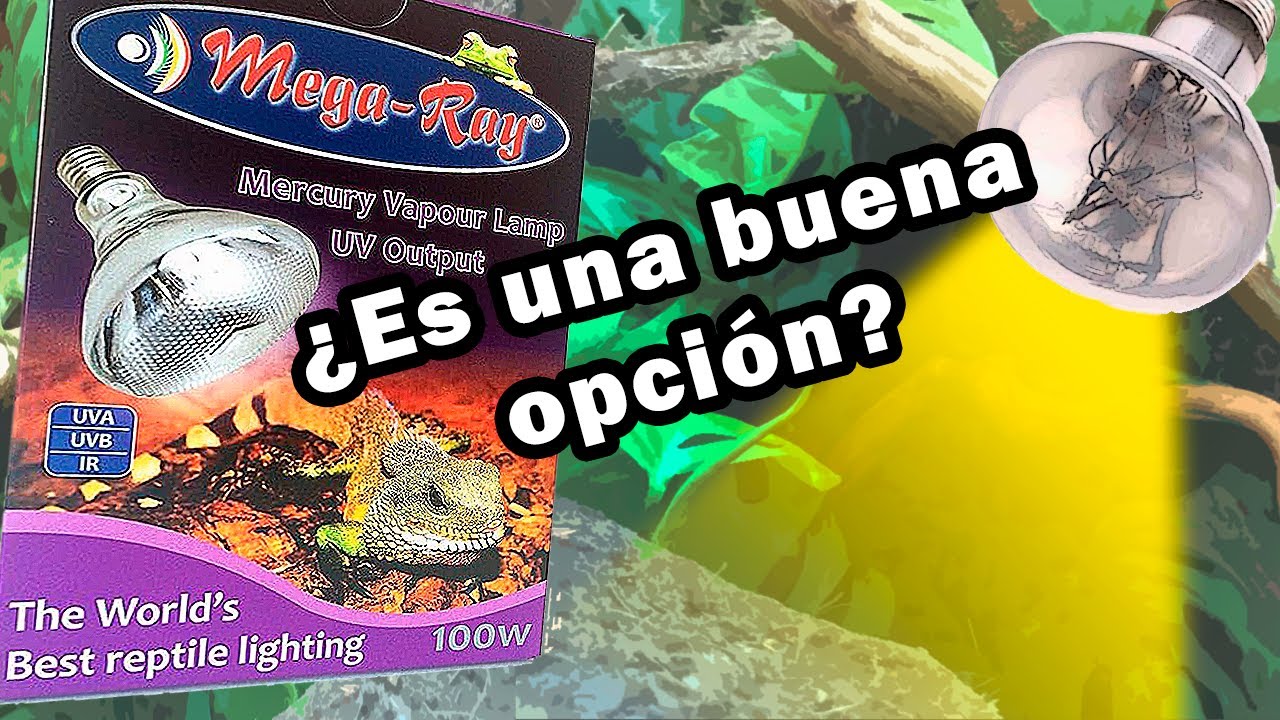 💡💡🦎NO compres un foco Mega-Ray, sin antes ver este video. 🦎💡💡 - YouTube