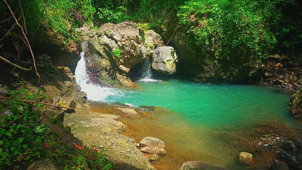 Waterfal Rhythmic auditory stimulus Meditation Forest River Lower ...