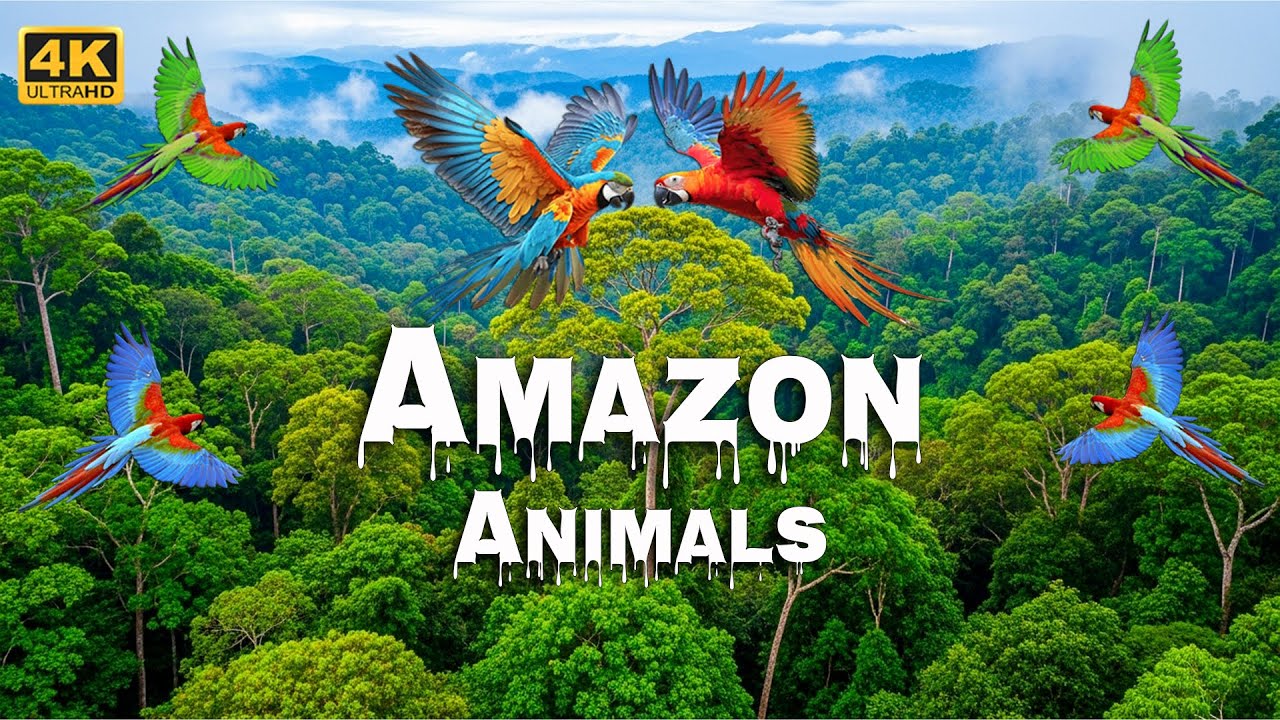 Wild Animals in 4K Ultra HD | Realistic Nature Ambience for Relaxation ...