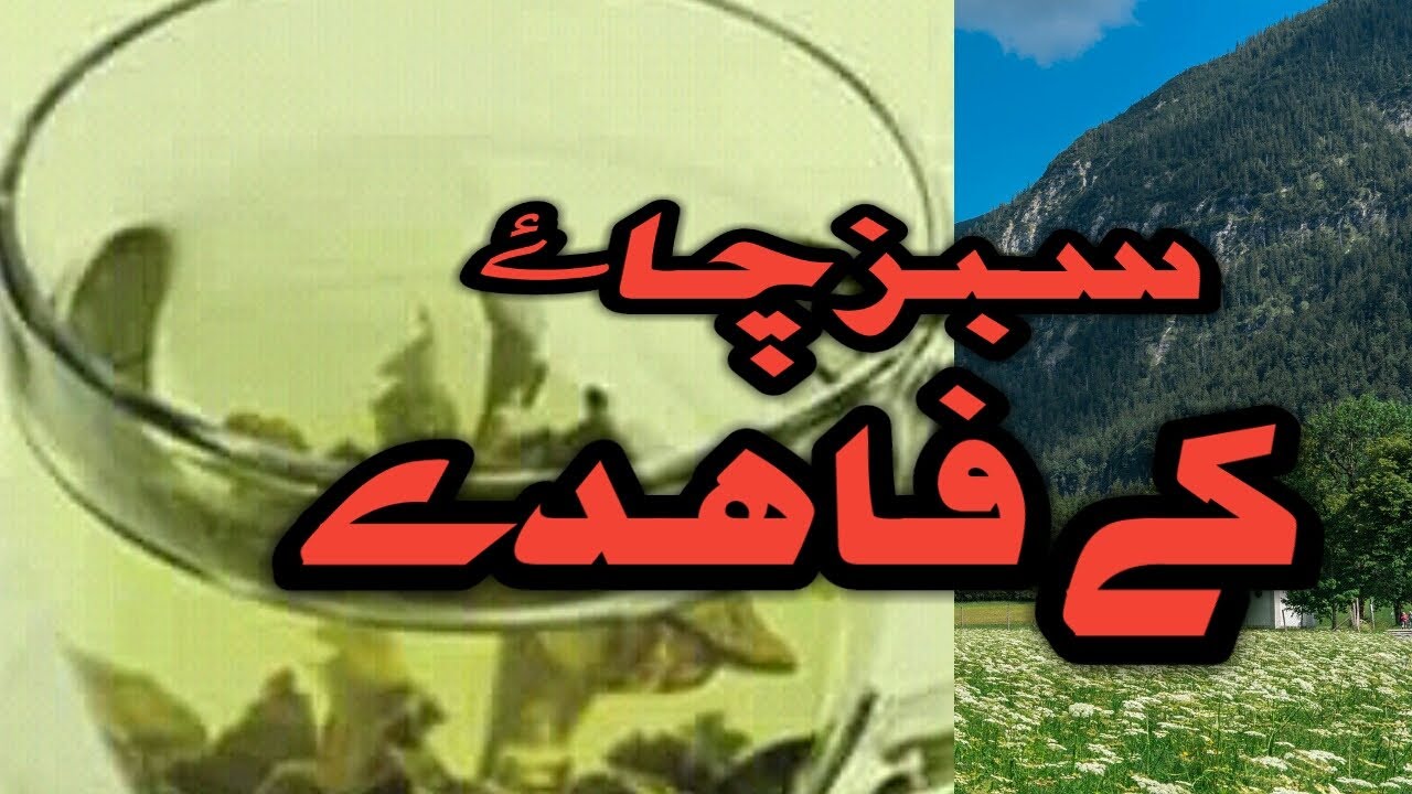 Green tea benefits ( sabz chay k faidy ) - YouTube